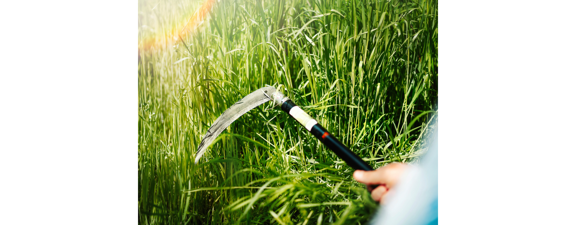 Comment utiliser une serpe dans votre jardinage | Guide pratique